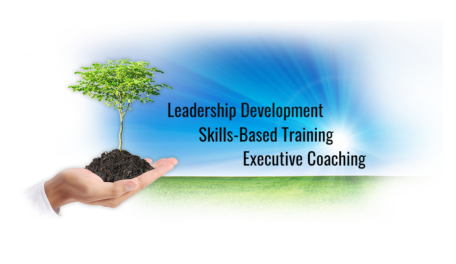 Workplace Training in Interpersonal Skills and Leadership by Day One ...